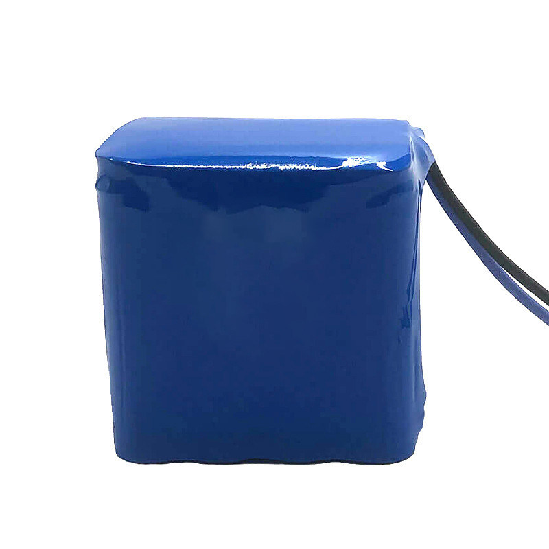 CB 12.2Ah 12V 18650 Lithium Ion Battery 1000 Cycle Custom 18650 Battery ...